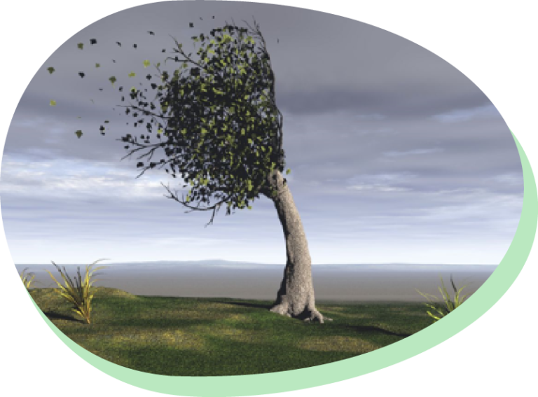 Cos’è il vento e da dove viene? Indagare le caratteristiche del vento ...